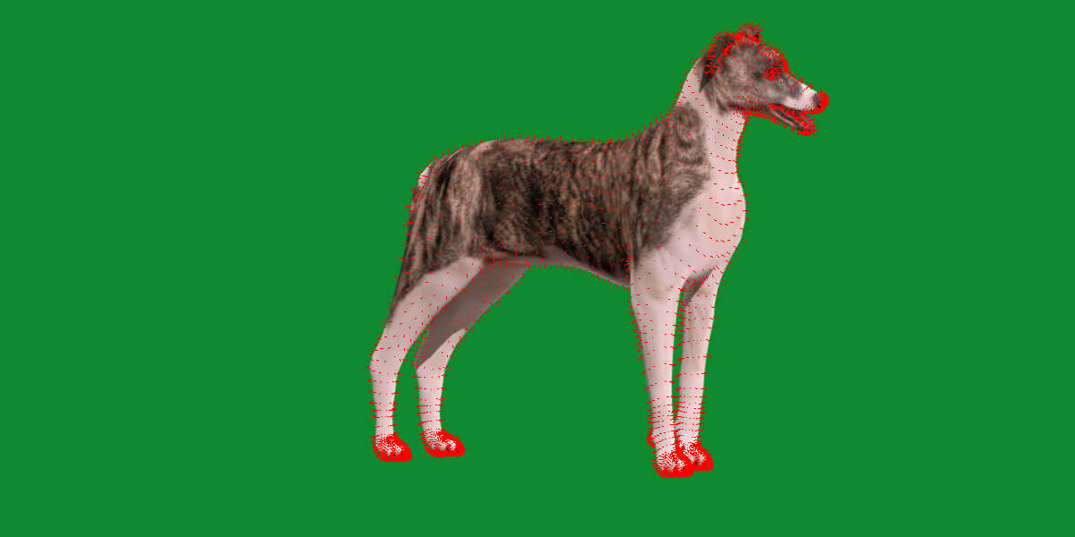 Hungarian Greyhound Magyar Agar Dog - 3D Model by Nyilonelycompany