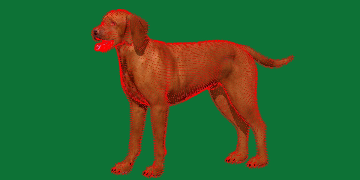 Hungarian Vizsla Dog - 3D Model by Nyilonelycompany