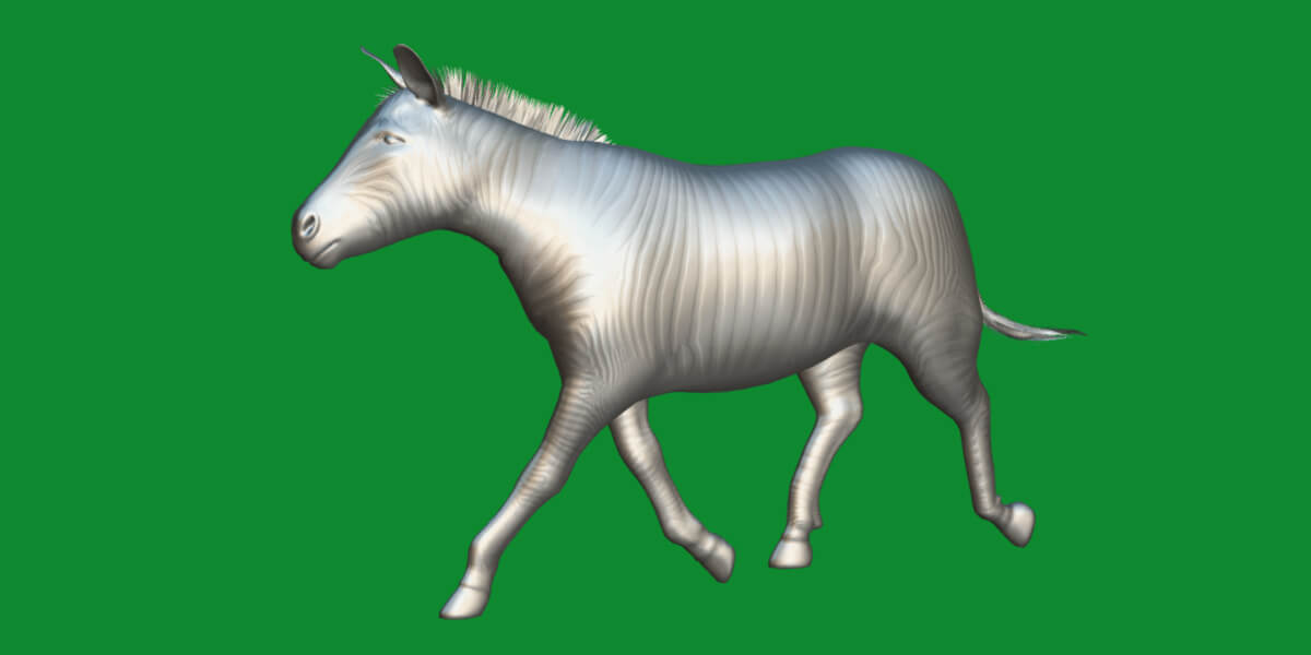 Imperial Zebra - 3D Model by Nyilonelycompany