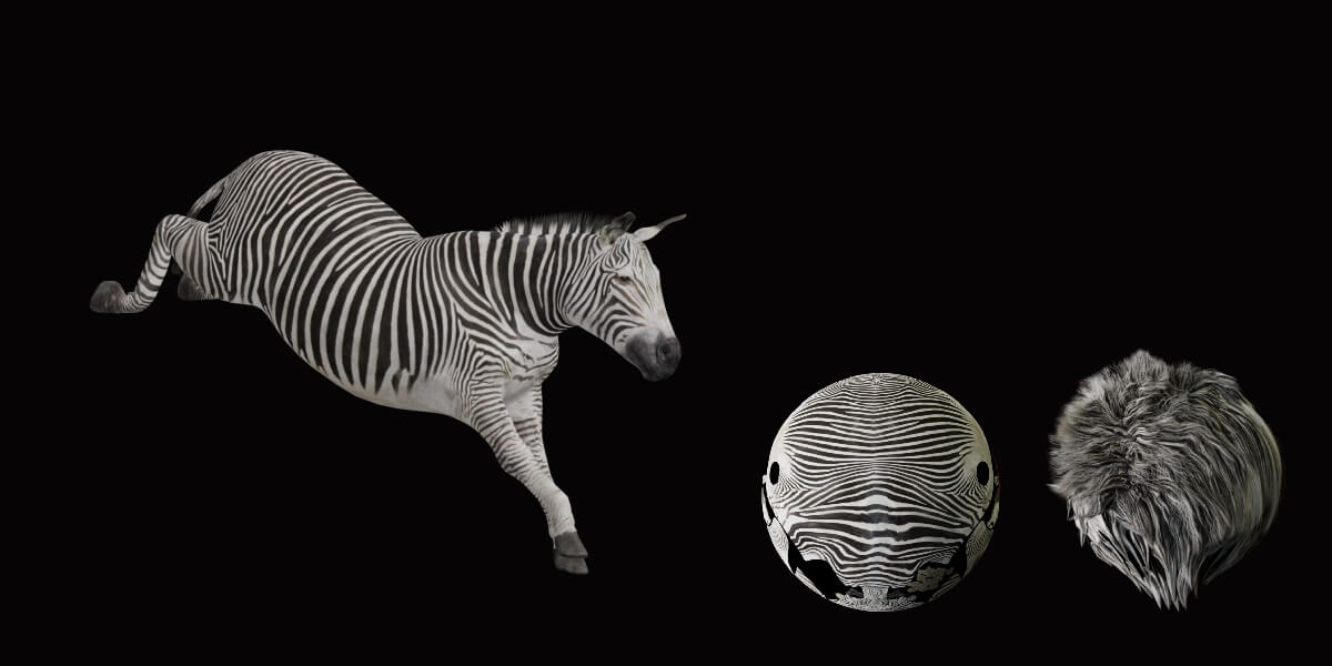 Imperial Zebra - 3D Model by Nyilonelycompany