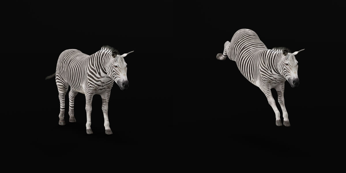 Imperial Zebra - 3D Model by Nyilonelycompany