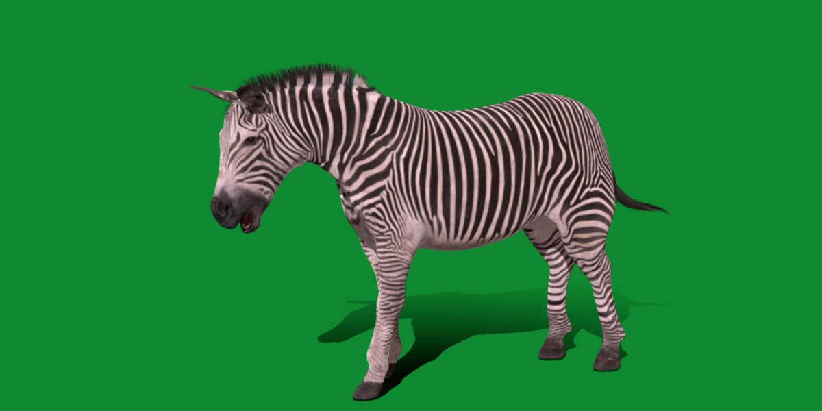 Imperial Zebra - 3D Model by Nyilonelycompany