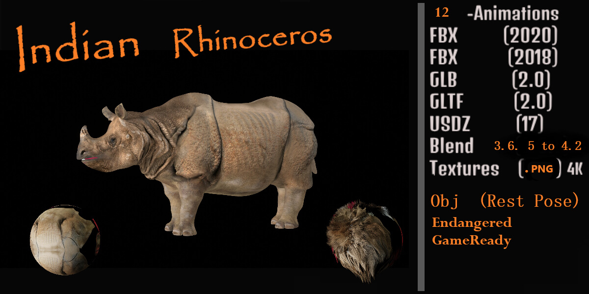 Indian Rhinoceros - 3D Model by Nyilonelycompany