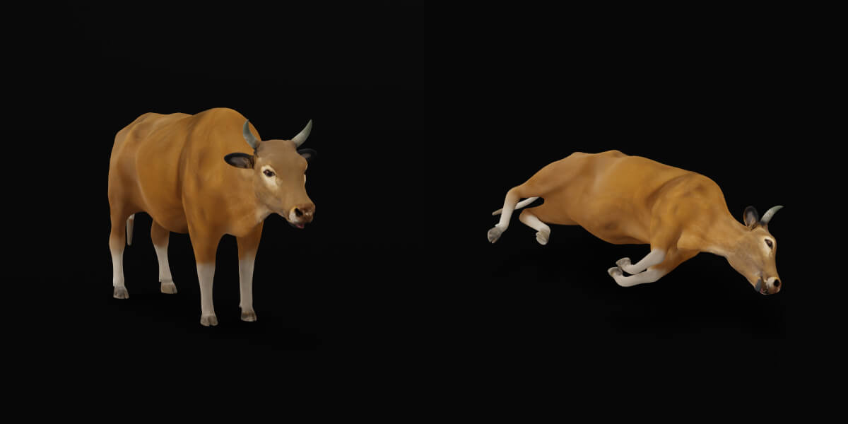 Indochinese Banteng Cattle - 3D Model by Nyilonelycompany