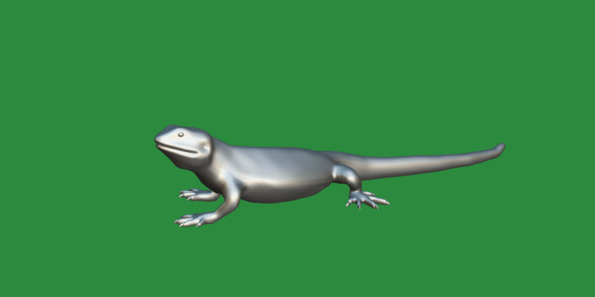 Inland Bearded Dragon Lizard - 3D Model by Nyilonelycompany