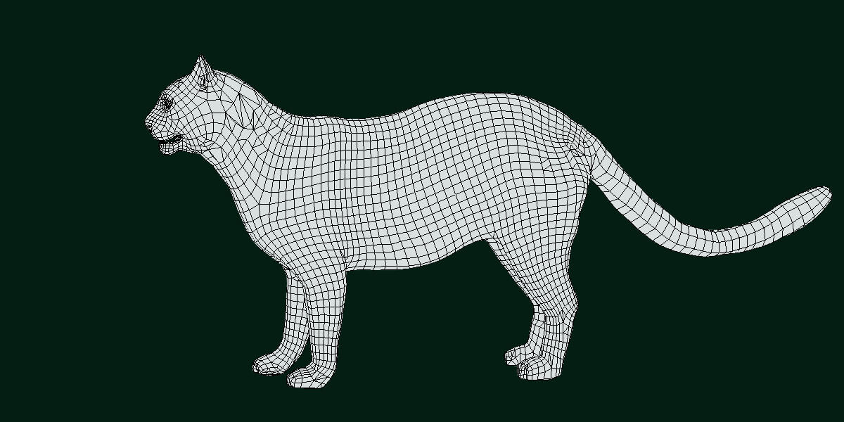 Jaguarundi Wildcat - 3D Model by Nyilonelycompany