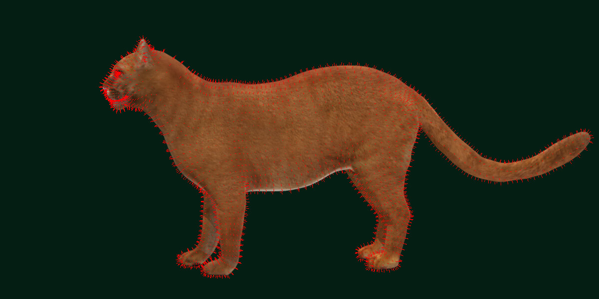 Jaguarundi Wildcat - 3D Model by Nyilonelycompany