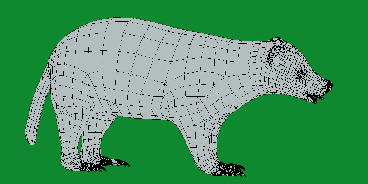 Japanese Badger - 3D Model by Nyilonelycompany