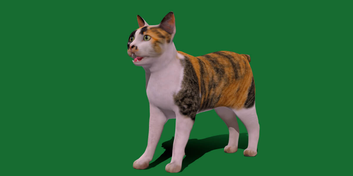 Japanese Bobtail Cat - 3D Model by Nyilonelycompany