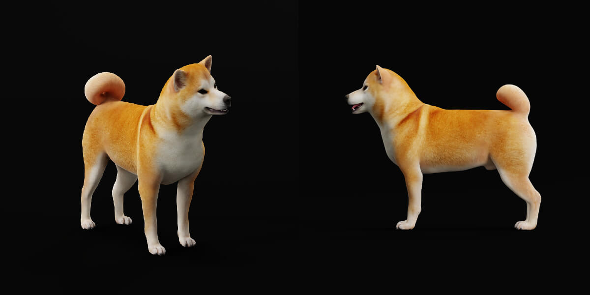 Japanese Shiba Inu Dog - 3D Model by Nyilonelycompany