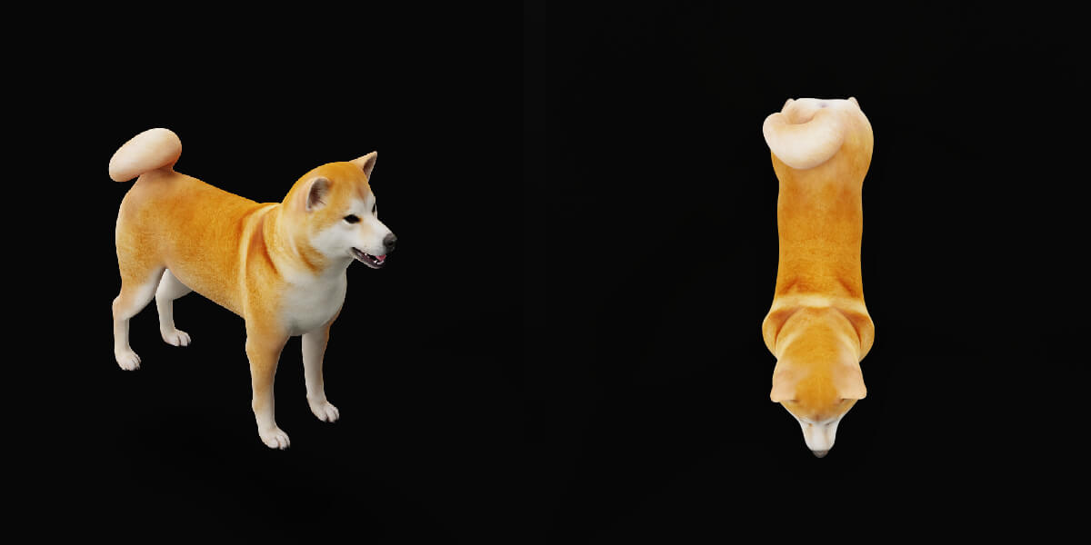 Japanese Shiba Inu Dog - 3D Model by Nyilonelycompany