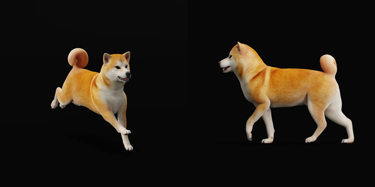 Japanese Shiba Inu Dog - 3D Model by Nyilonelycompany