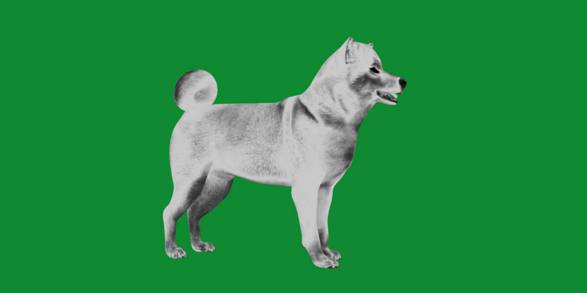 Japanese Shiba Inu Dog - 3D Model by Nyilonelycompany