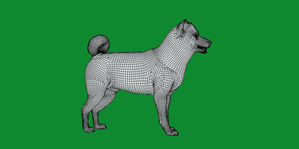 Japanese Shiba Inu Dog - 3D Model by Nyilonelycompany