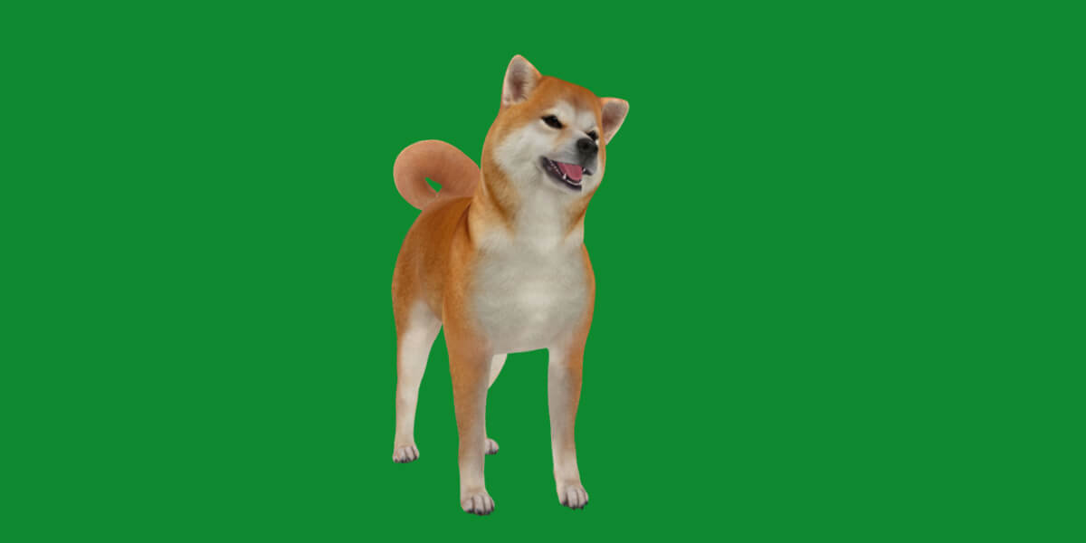 Japanese Shiba Inu Dog - 3D Model by Nyilonelycompany