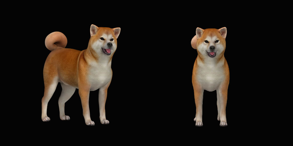 Japanese Shiba Inu Dog - 3D Model by Nyilonelycompany