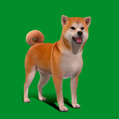 Japanese Shiba Inu Dog - 3D Model by Nyilonelycompany