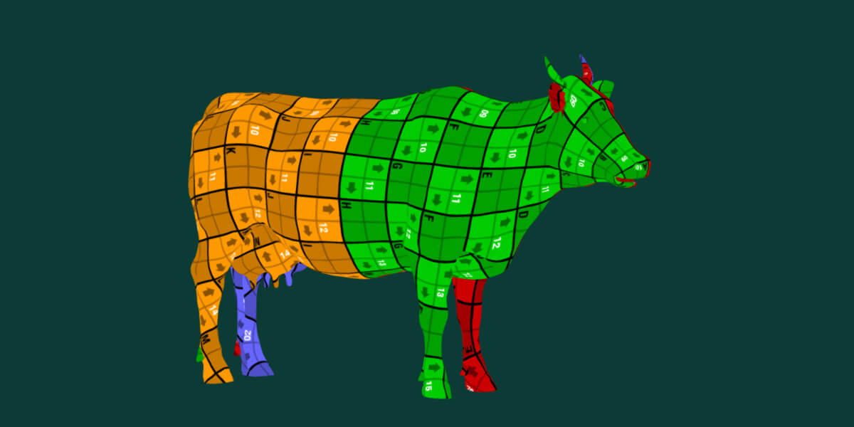 Javan Banteng Cattle - 3D Model by Nyilonelycompany