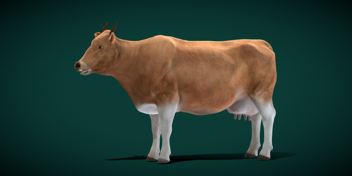 Javan Banteng Cattle - 3D Model by Nyilonelycompany