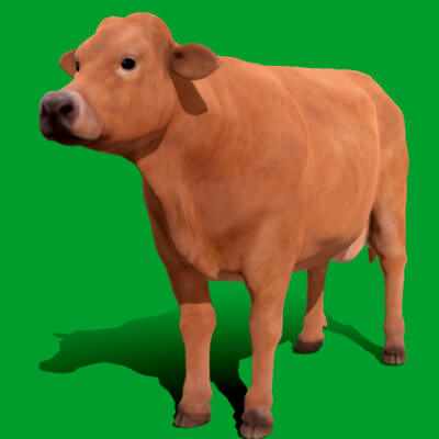 Gltf 3D Models | Animals | Cattle | RenderHub