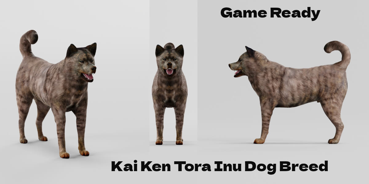 Kai Ken Tora Inu Dog Breed - 3D Model by Nyilonelycompany