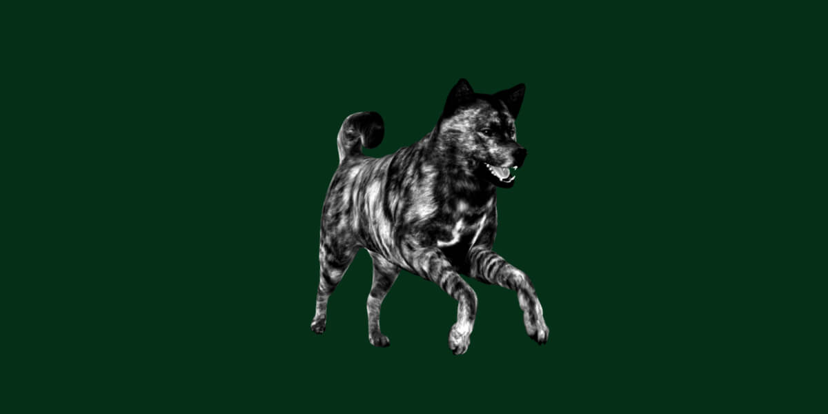 Kai Ken Tora Inu Dog Breed - 3D Model by Nyilonelycompany