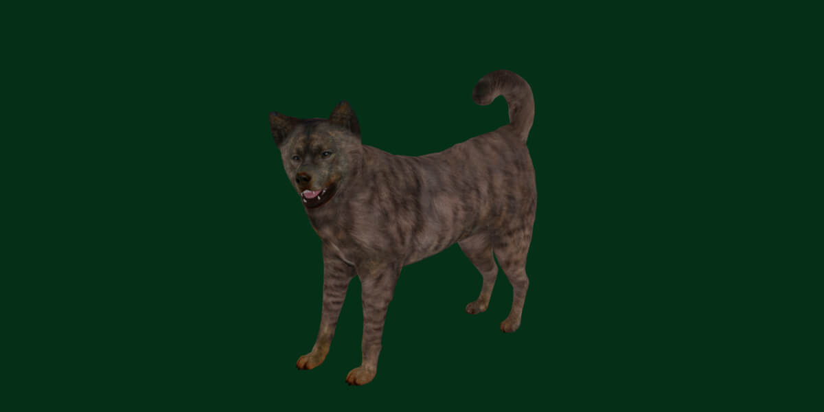 Kai Ken Tora Inu Dog Breed - 3D Model by Nyilonelycompany