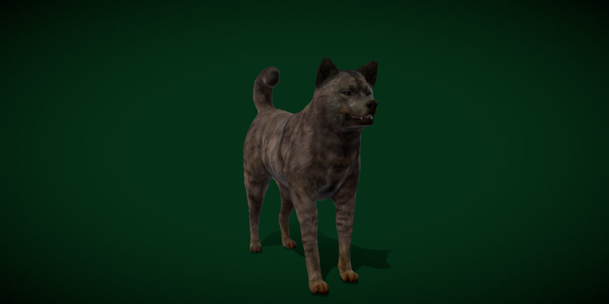Kai Ken Tora Inu Dog Breed - 3D Model by Nyilonelycompany