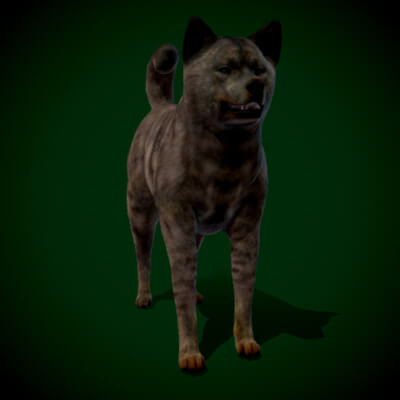 Kai Ken Tora Inu Dog Breed - 3D Model by Nyilonelycompany