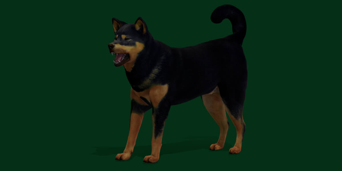 KoChi-Ken Inu Dog 3D Model by Nyilonelycompany