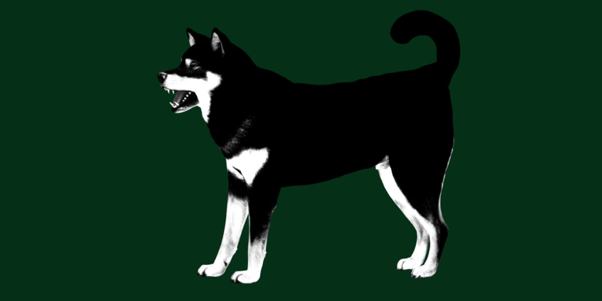 KoChi-Ken Inu Dog 3D Model by Nyilonelycompany