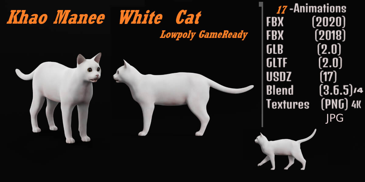 Khao Manee White Cat - 3D Model by Nyilonelycompany