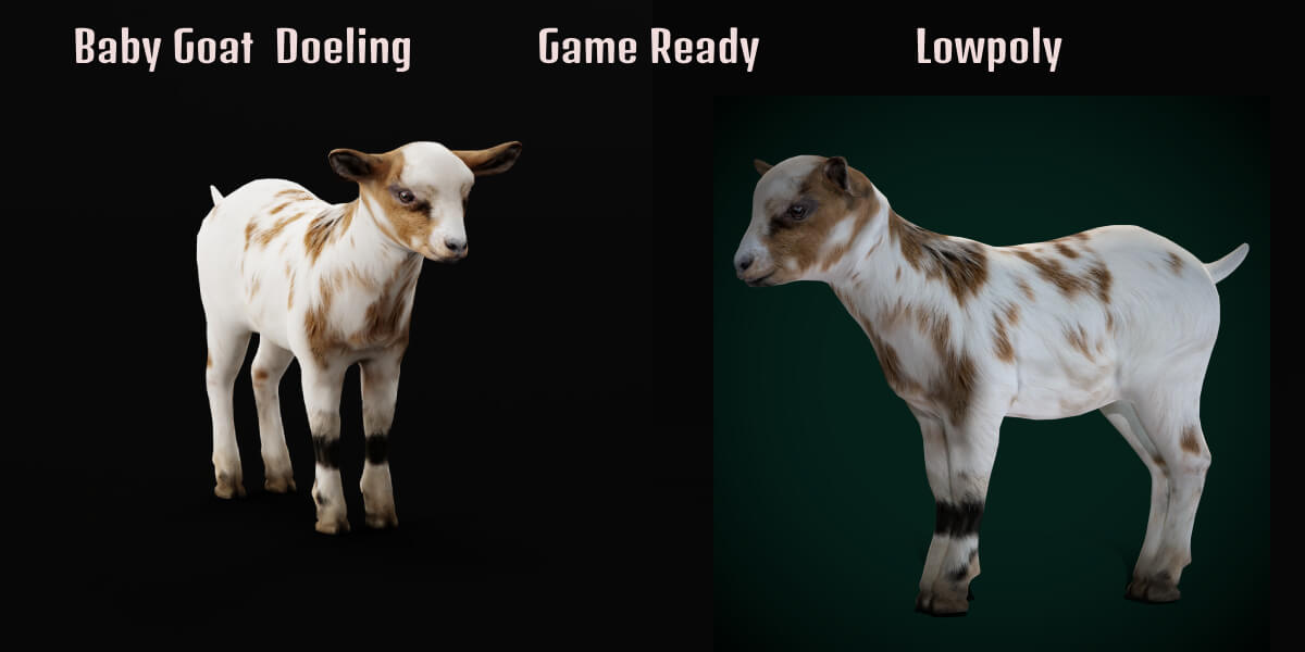 Kid Baby Goat Doeling - 3D Model by Nyilonelycompany