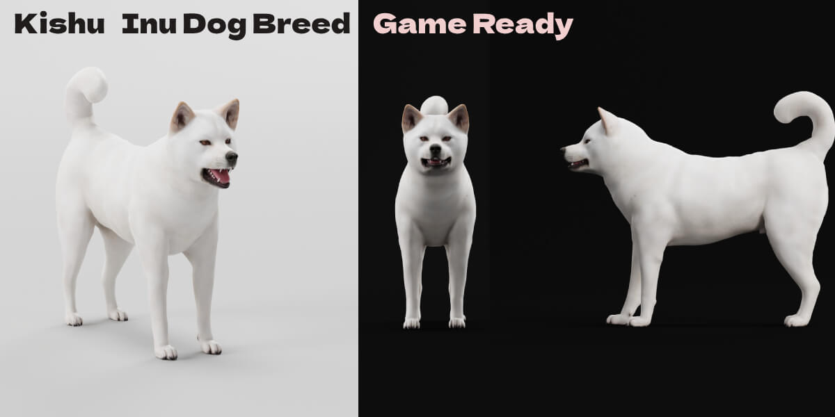 Kishu Inu Japan Dog Breed - 3D Model by Nyilonelycompany