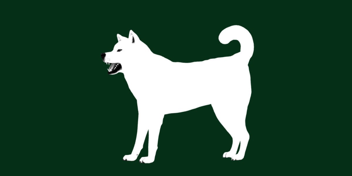 Kishu Inu Japan Dog Breed - 3D Model by Nyilonelycompany