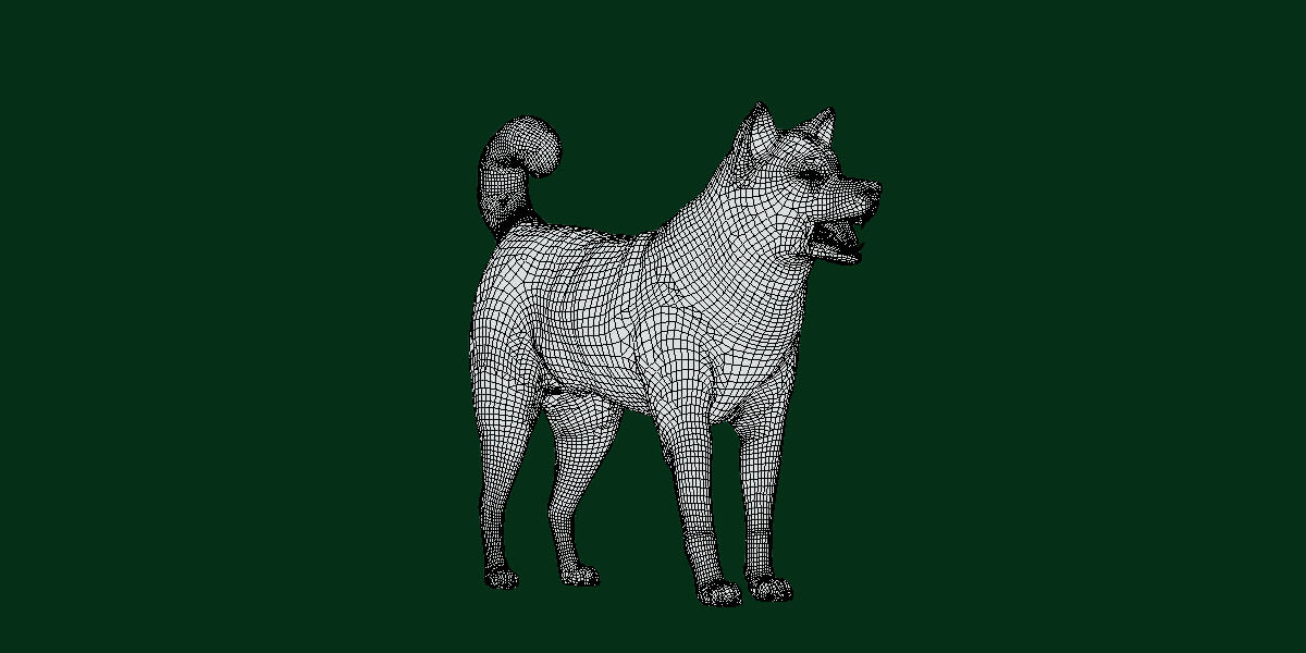 Kishu Inu Japan Dog Breed - 3D Model by Nyilonelycompany