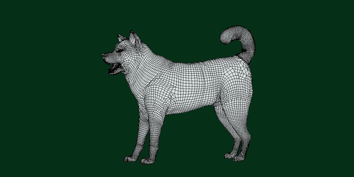 Kishu Inu Japan Dog Breed - 3D Model by Nyilonelycompany