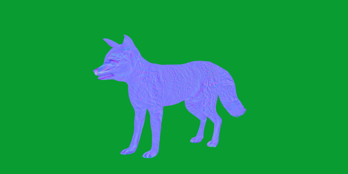 Kit Fox Vulpes Macrotis - 3D Model by Nyilonelycompany