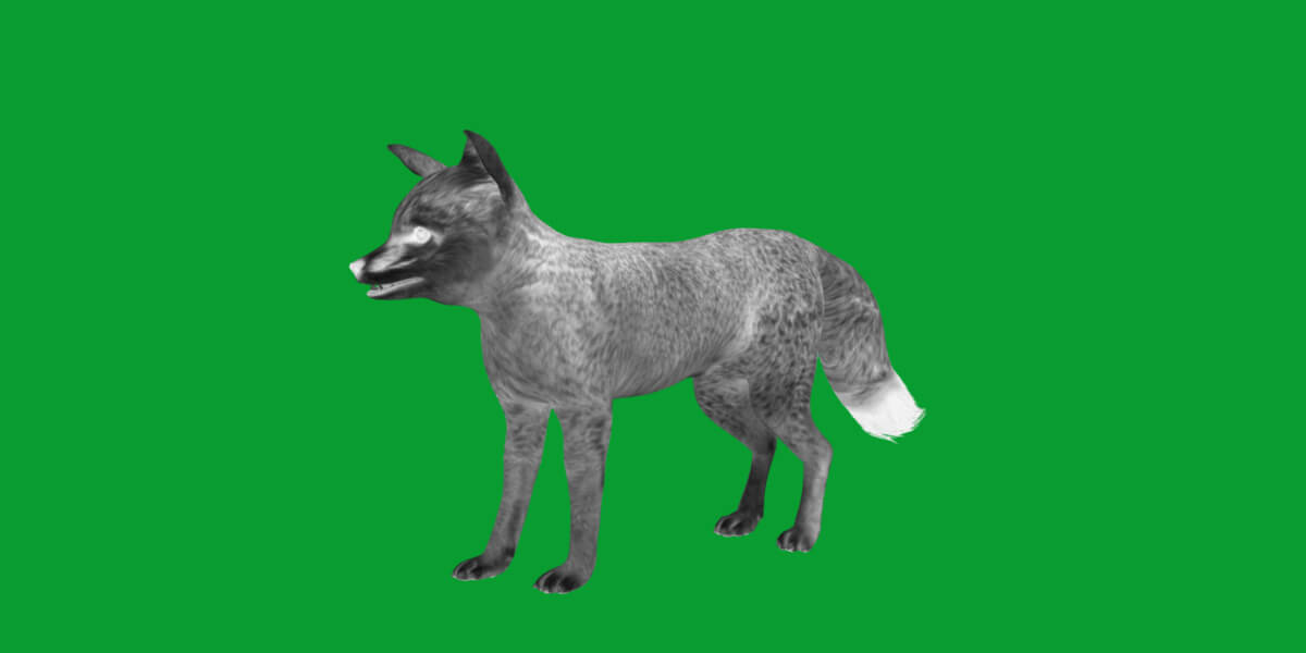 Kit Fox Vulpes Macrotis - 3D Model by Nyilonelycompany