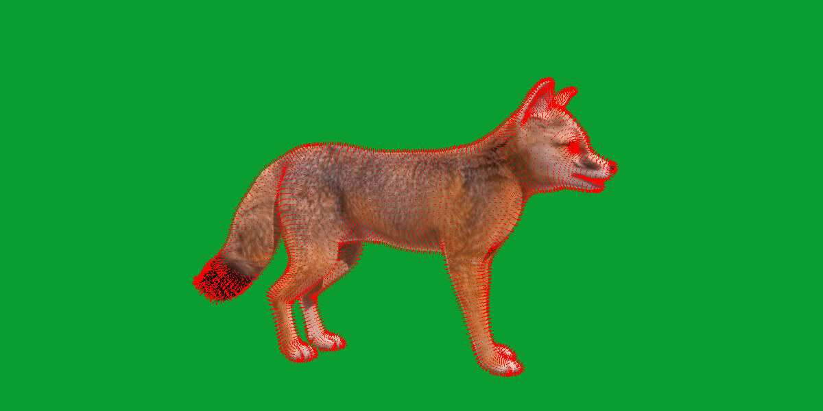 Kit Fox Vulpes Macrotis - 3D Model by Nyilonelycompany