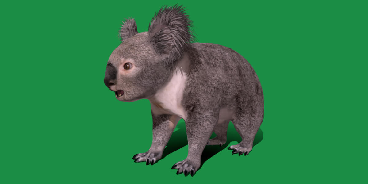 Koala Bear Mammal - 3D Model by Nyilonelycompany
