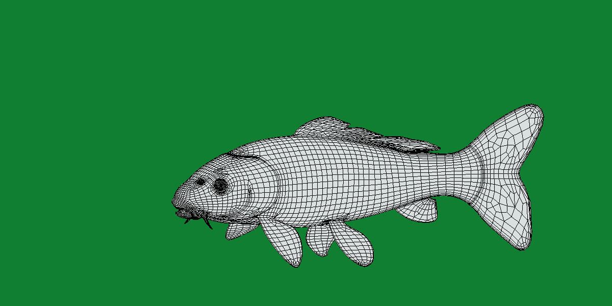 Koi Carp Fish - 3D Model by Nyilonelycompany