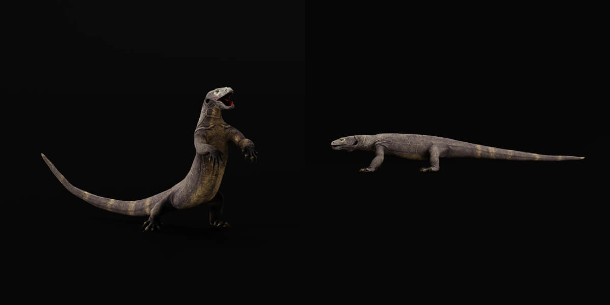 Komodo Dragon Monitor Lizard - 3D Model by Nyilonelycompany