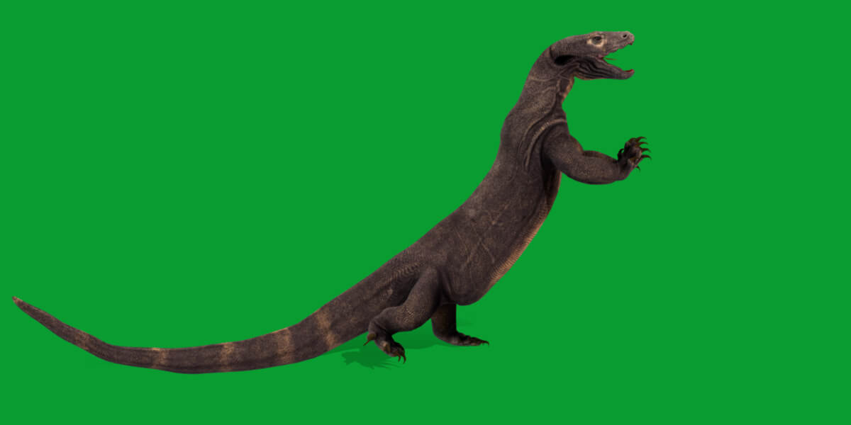 Komodo Dragon Monitor Lizard - 3D Model by Nyilonelycompany