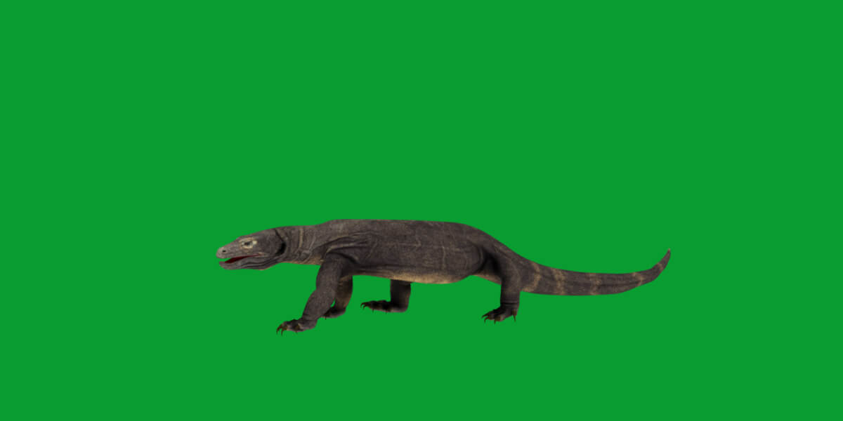 Komodo Dragon Monitor Lizard - 3D Model by Nyilonelycompany