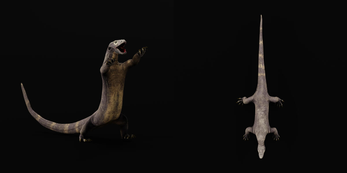 Komodo Dragon Monitor Lizard - 3D Model by Nyilonelycompany