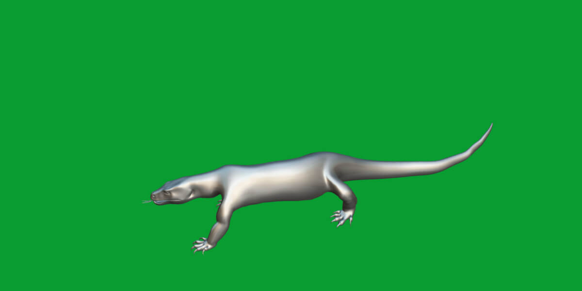 Komodo Dragon Monitor Lizard - 3D Model by Nyilonelycompany