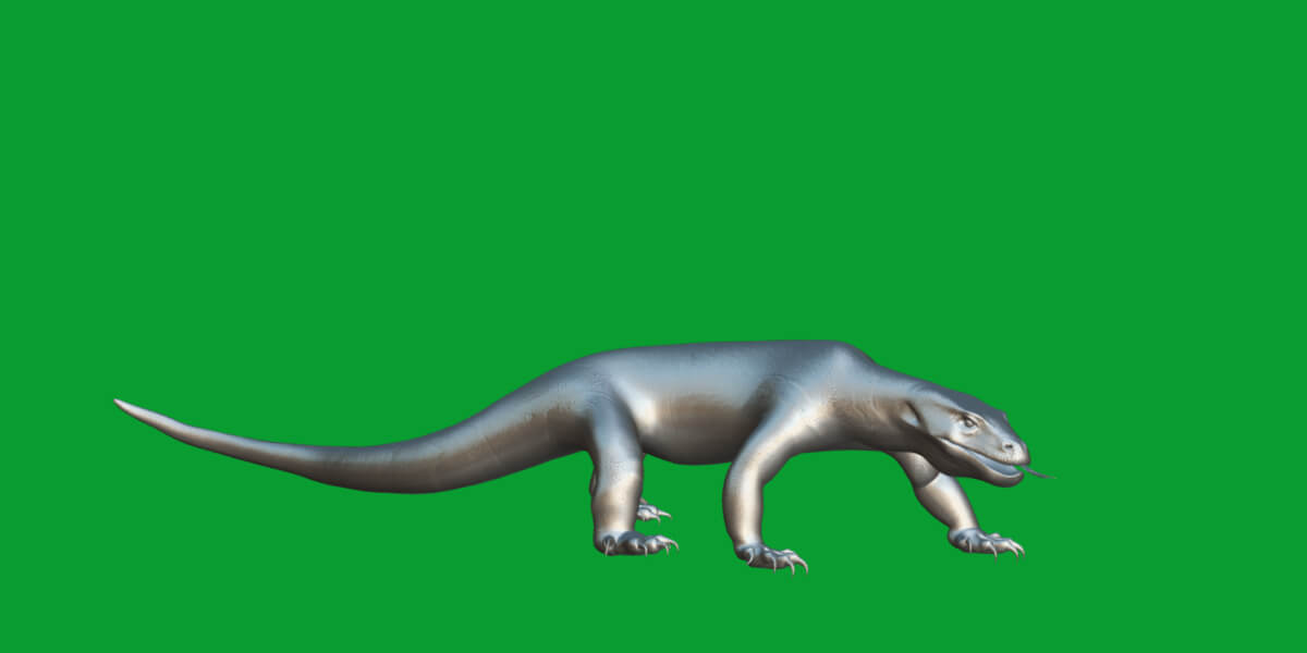 Komodo Dragon Monitor Lizard - 3D Model by Nyilonelycompany