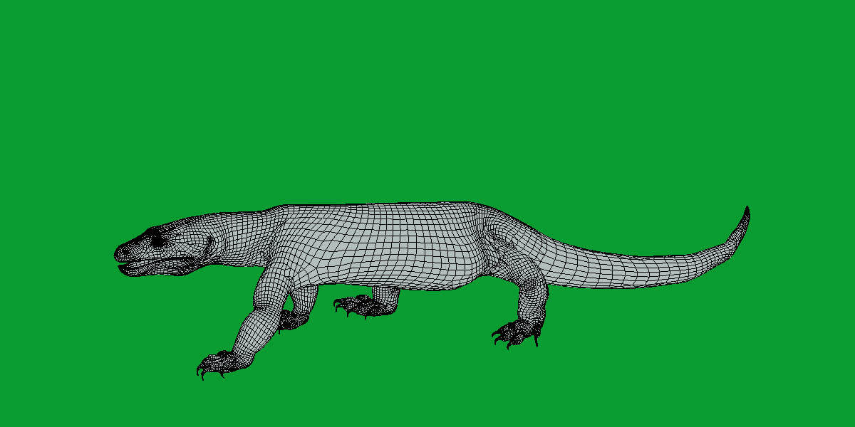 Komodo Dragon Monitor Lizard - 3D Model by Nyilonelycompany