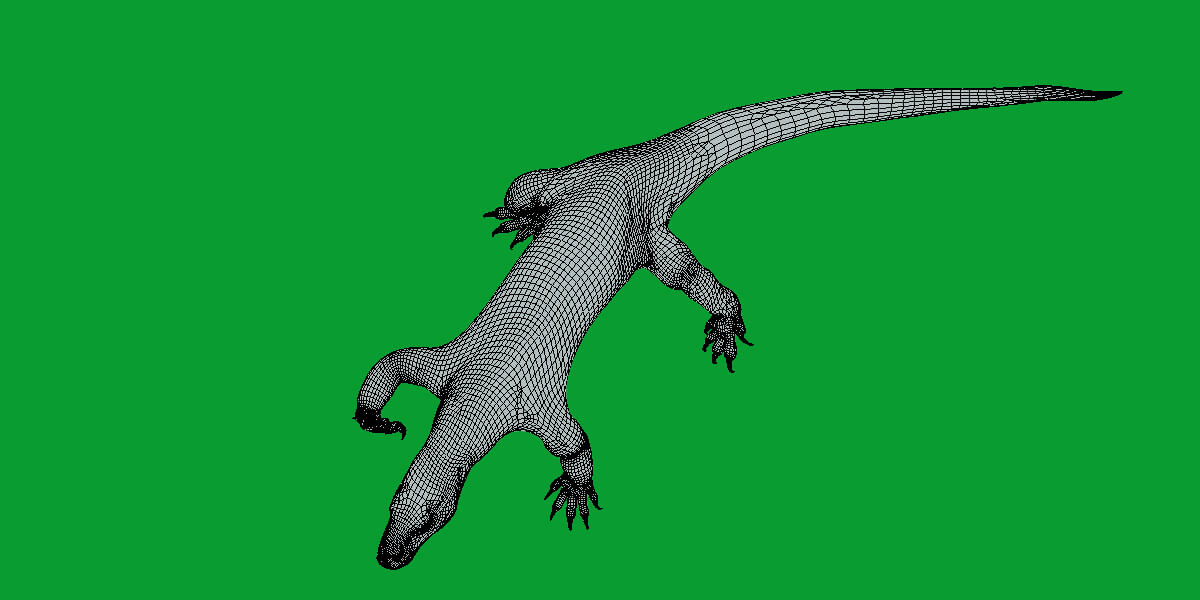 Komodo Dragon Monitor Lizard - 3D Model by Nyilonelycompany